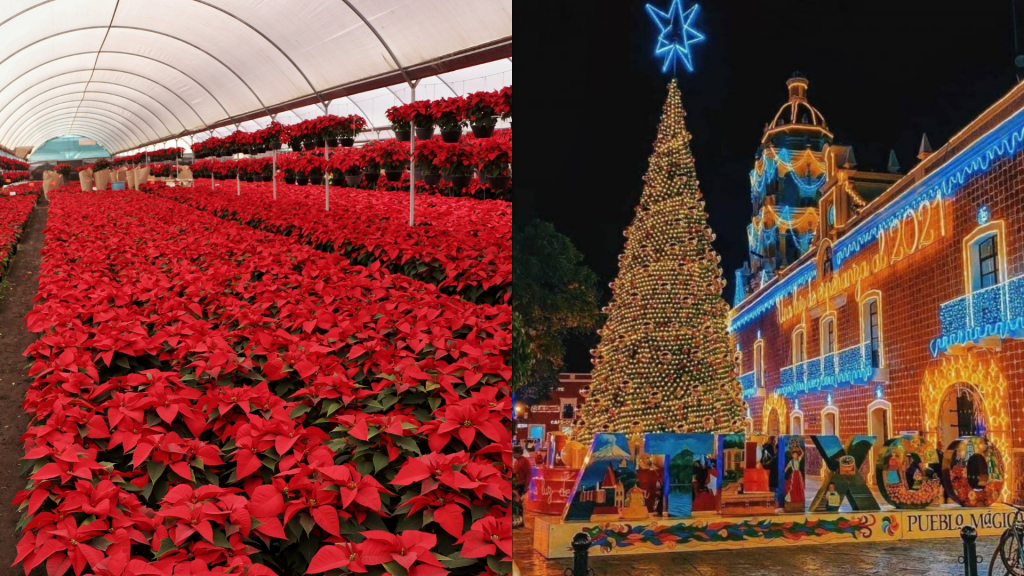 Lugares para visitar esta Navidad en puebla - La Romantica